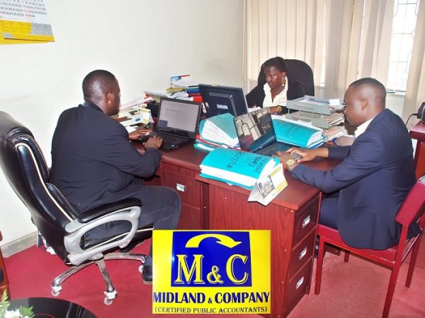 Our Portfolio – MidLand & Company, CPA